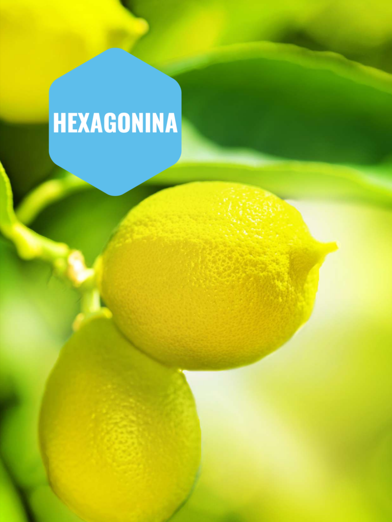 HEXAGONINA - Hexagon Agro