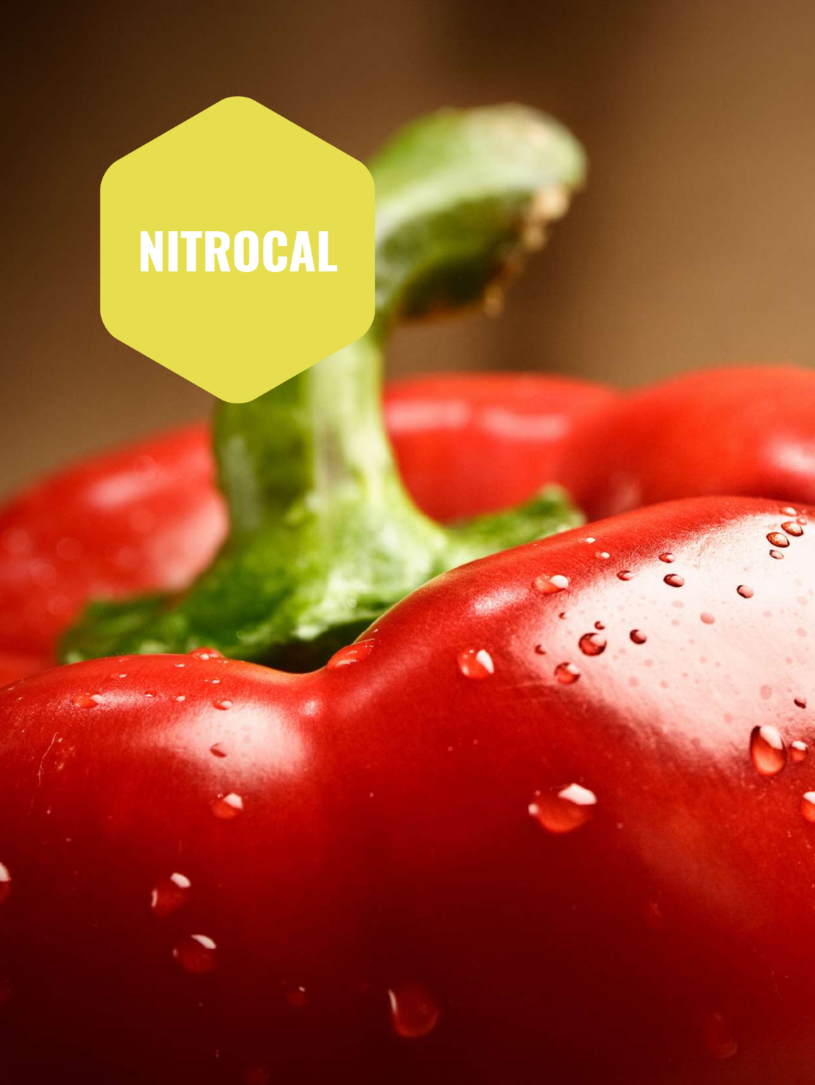 HEXAGON NITROCAL - Hexagon Agro